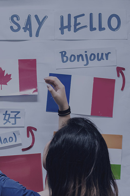 LINK Lingua - SoftLINK